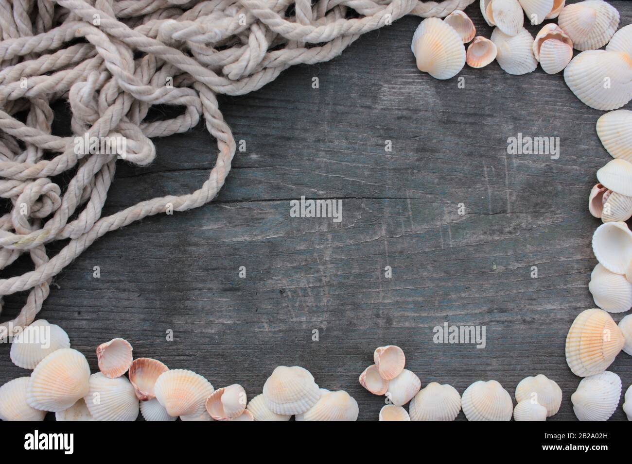 Summer frame with shells and rope on a rough cracked dark wooden ...