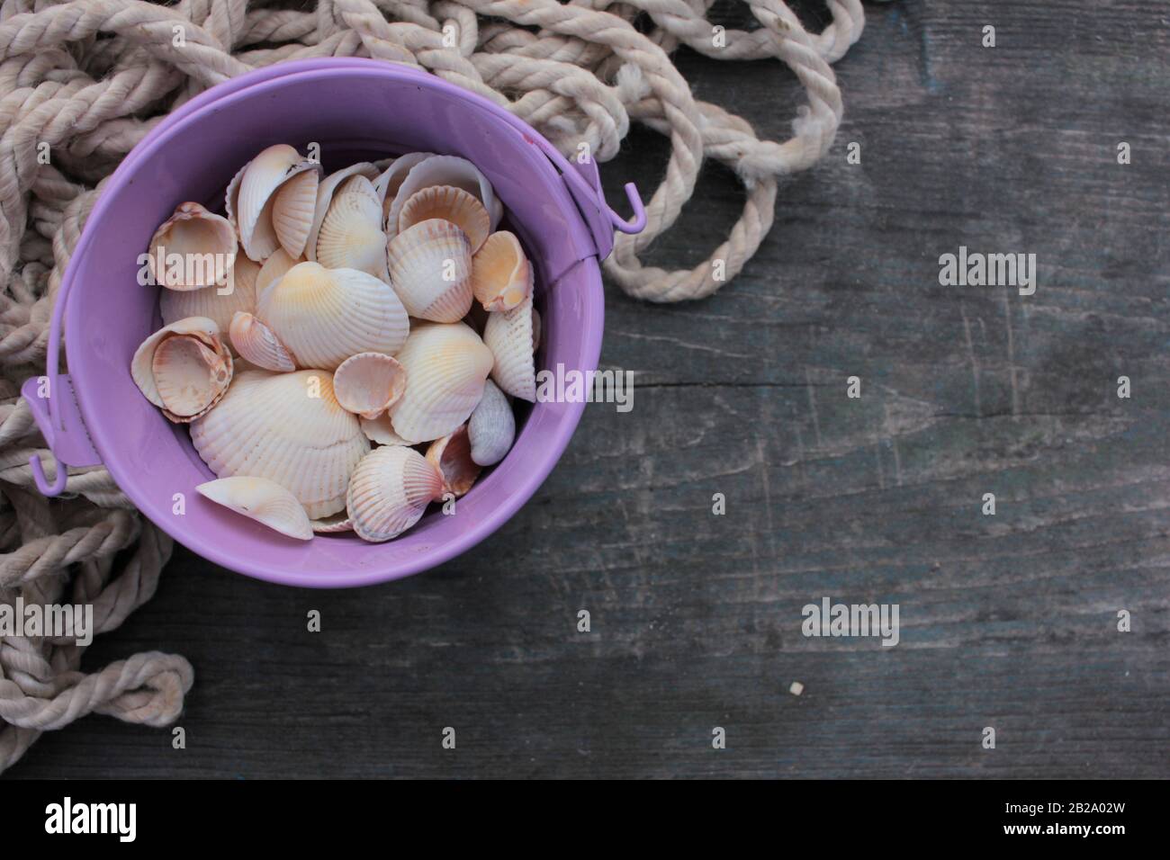 Bucket of shells hi-res stock photography and images - Alamy