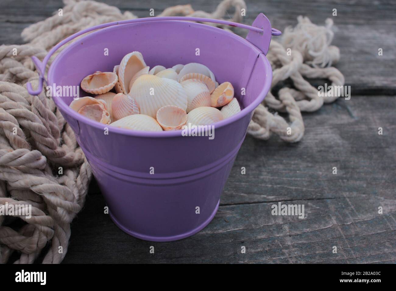 Bucket Of Shells High Resolution Stock Photography and Images - Alamy