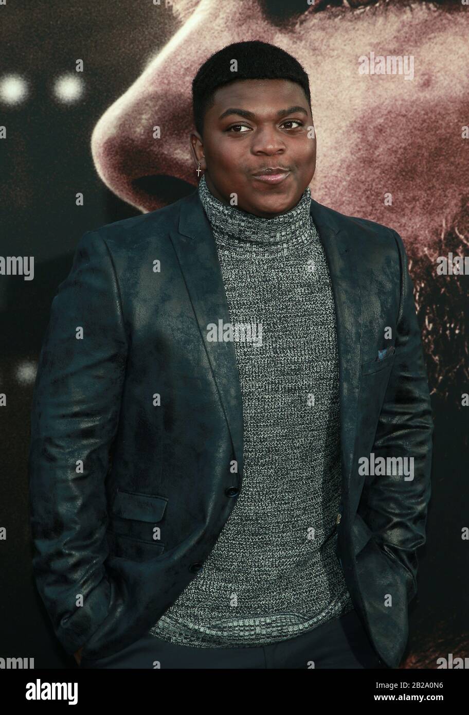 1 March 2020 - Los Angeles, California - Charles Lott Jr. Premiere Of ...