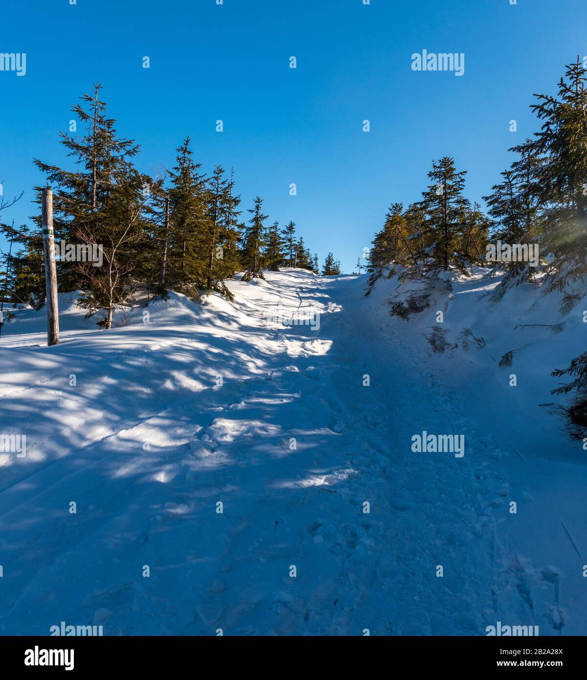 Magurka Wislanska High Resolution Stock Photography and Images - Alamy