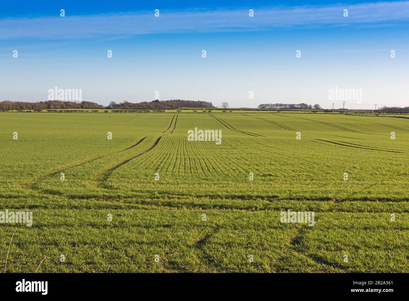 Agricultural farm field hi-res stock photography and images - Alamy