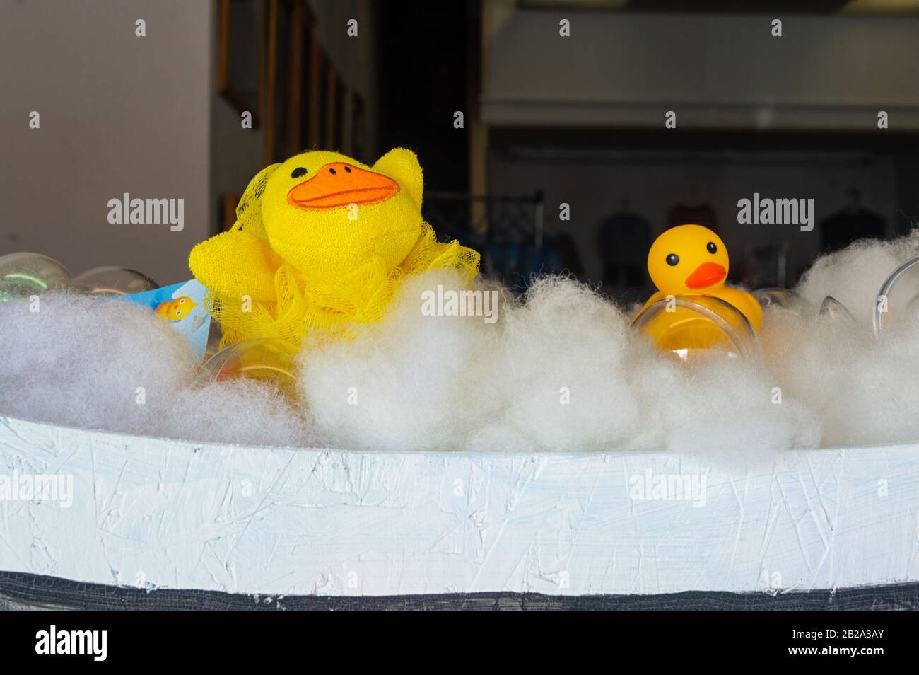 Rubber duck in a store window hi-res stock photography and images - Alamy