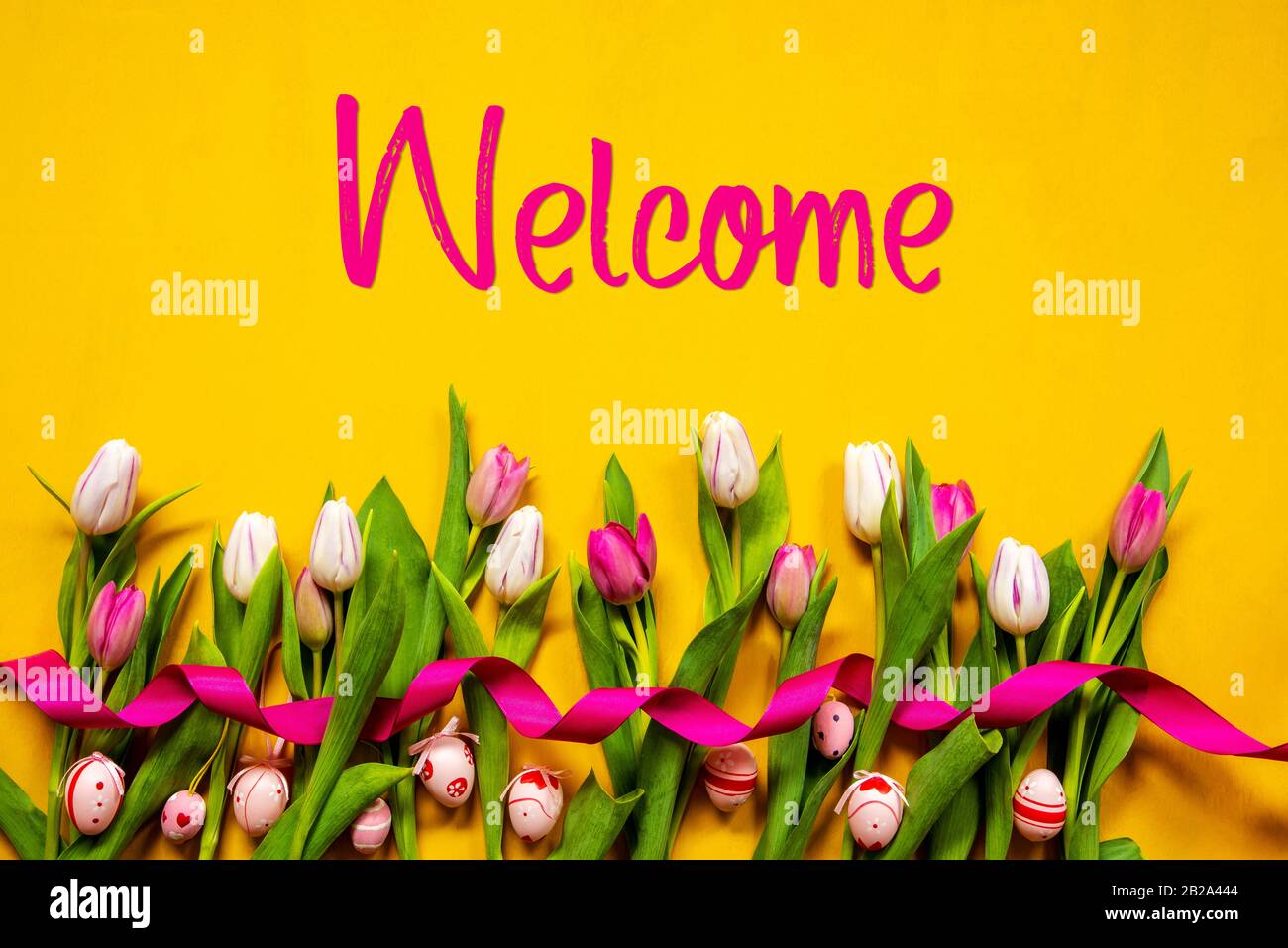 Colorful Tulip, Text Welcome, Easter Egg, Yellow Background Stock Photo ...