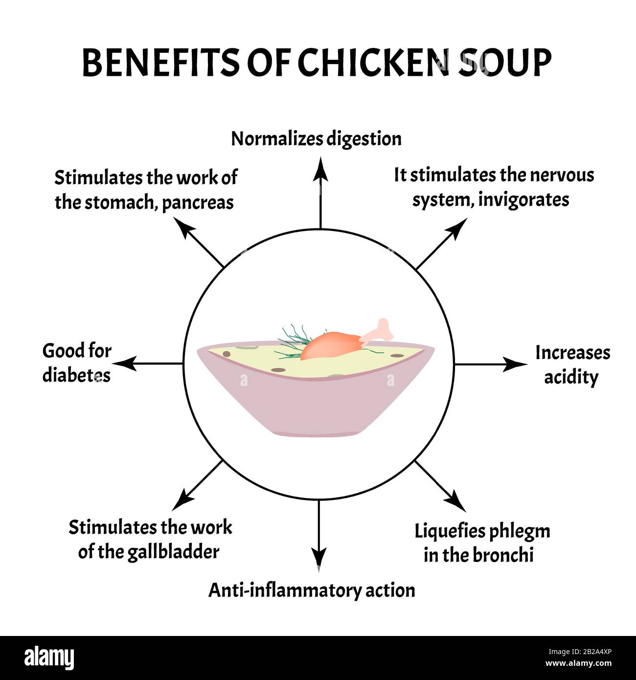 International Soup Day April 5th. Useful properties of chicken soup ...