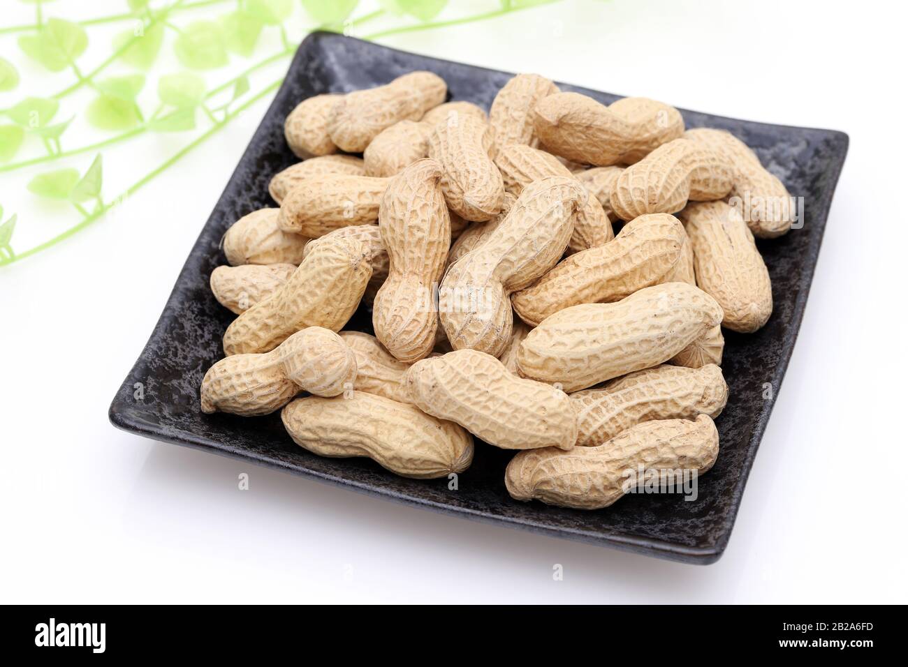 Organic peanuts in shell in a dish on white background Stock Photo - Alamy