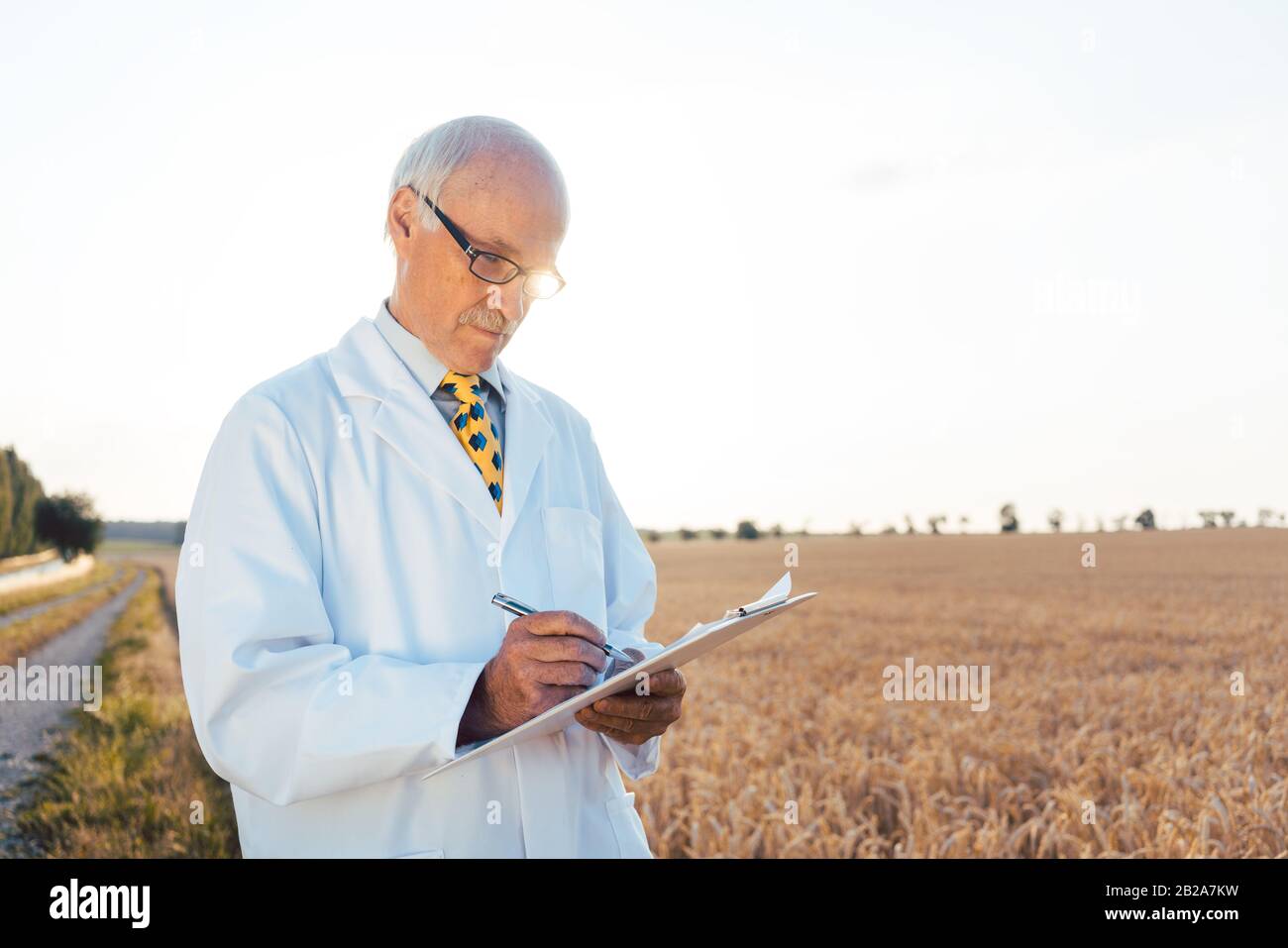 Agricultural scientist doing research in green biotech Stock Photo - Alamy