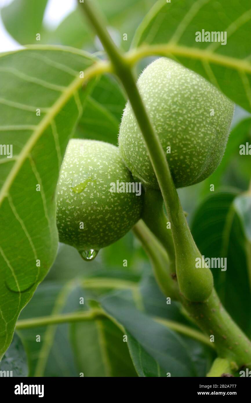 Men's health hi-res stock photography and images - Alamy