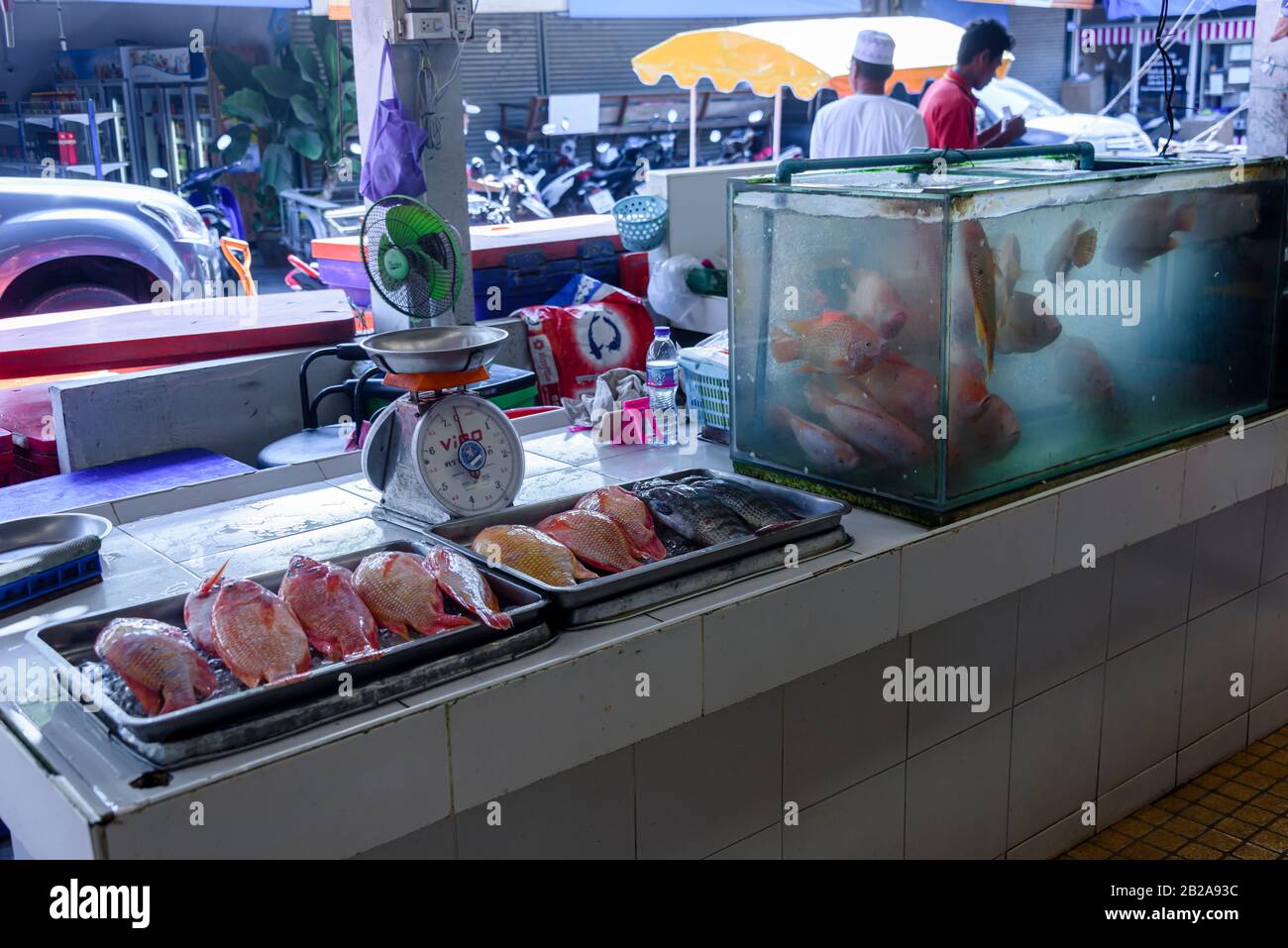 Red fish, both alive in a tank and dead, at a fishmongers market stall ...