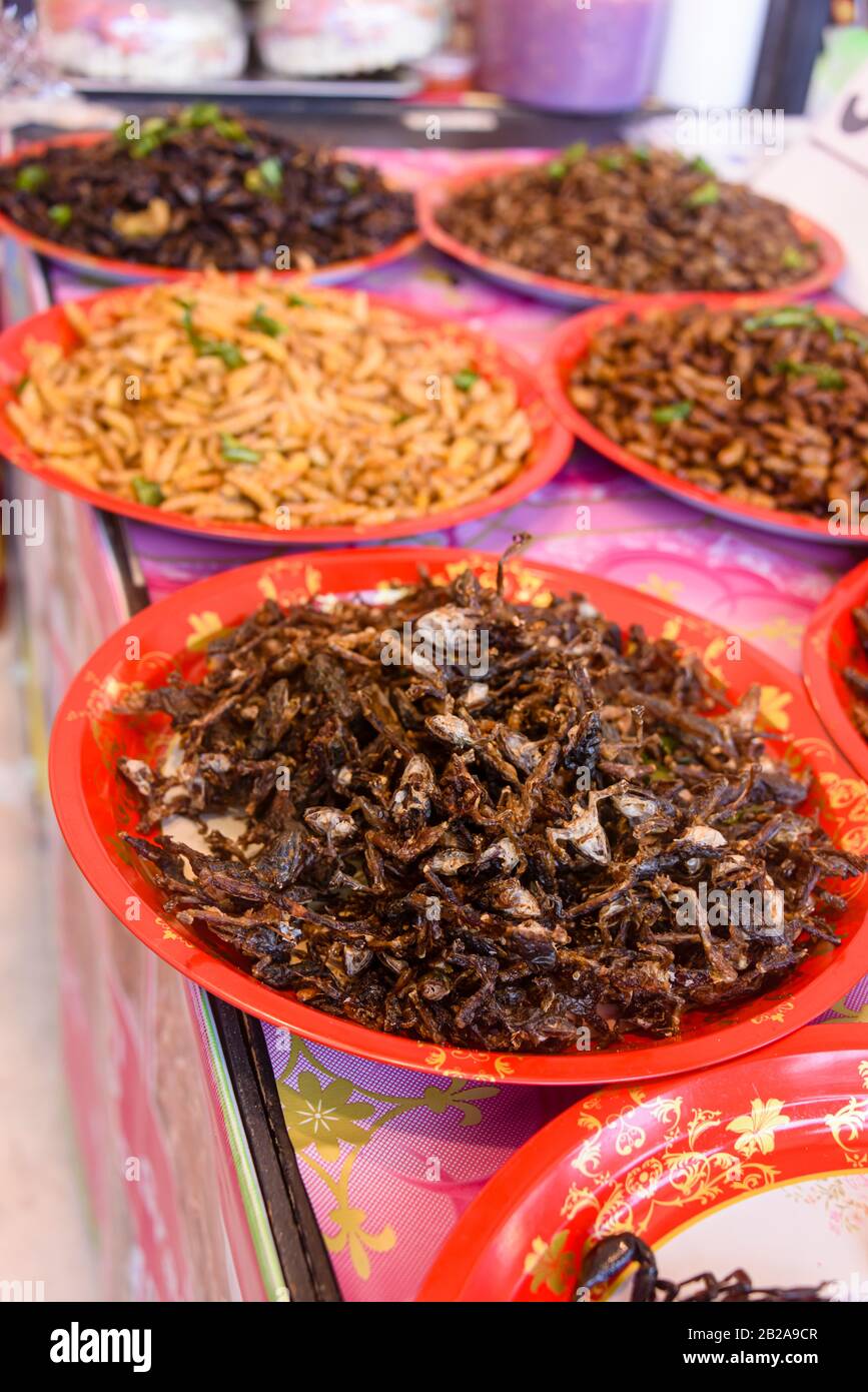 Bowls of deep fried insect grubs for sale at a Thai street food market ...