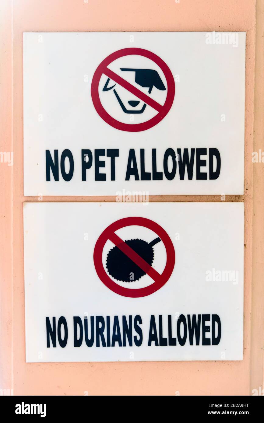 No Durian