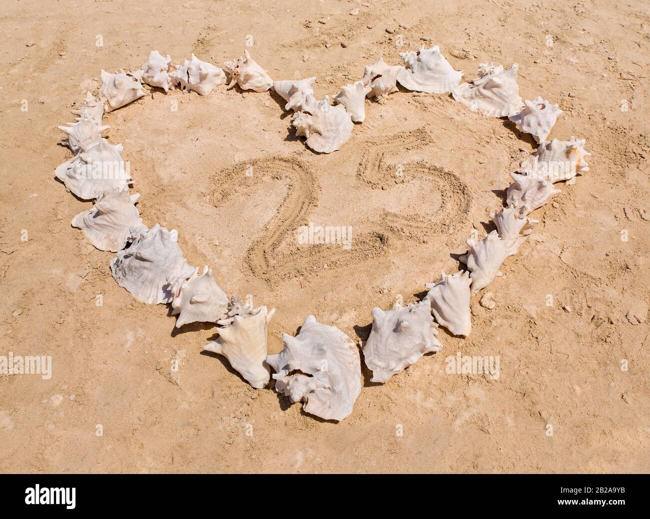 Karko shells lying in heart shape on beach with number 25 Stock Photo ...
