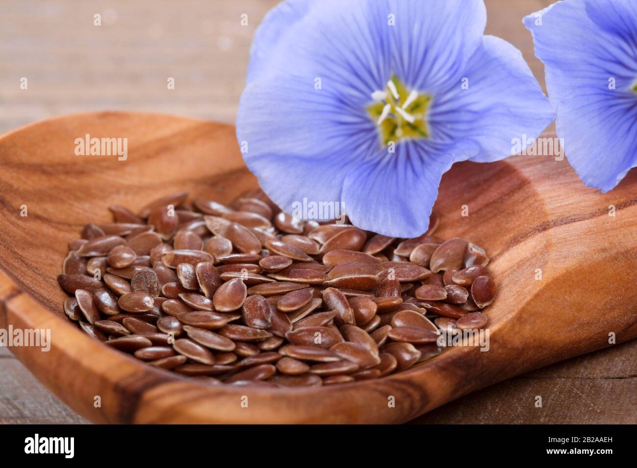 Flaxseed flower hi-res stock photography and images - Alamy