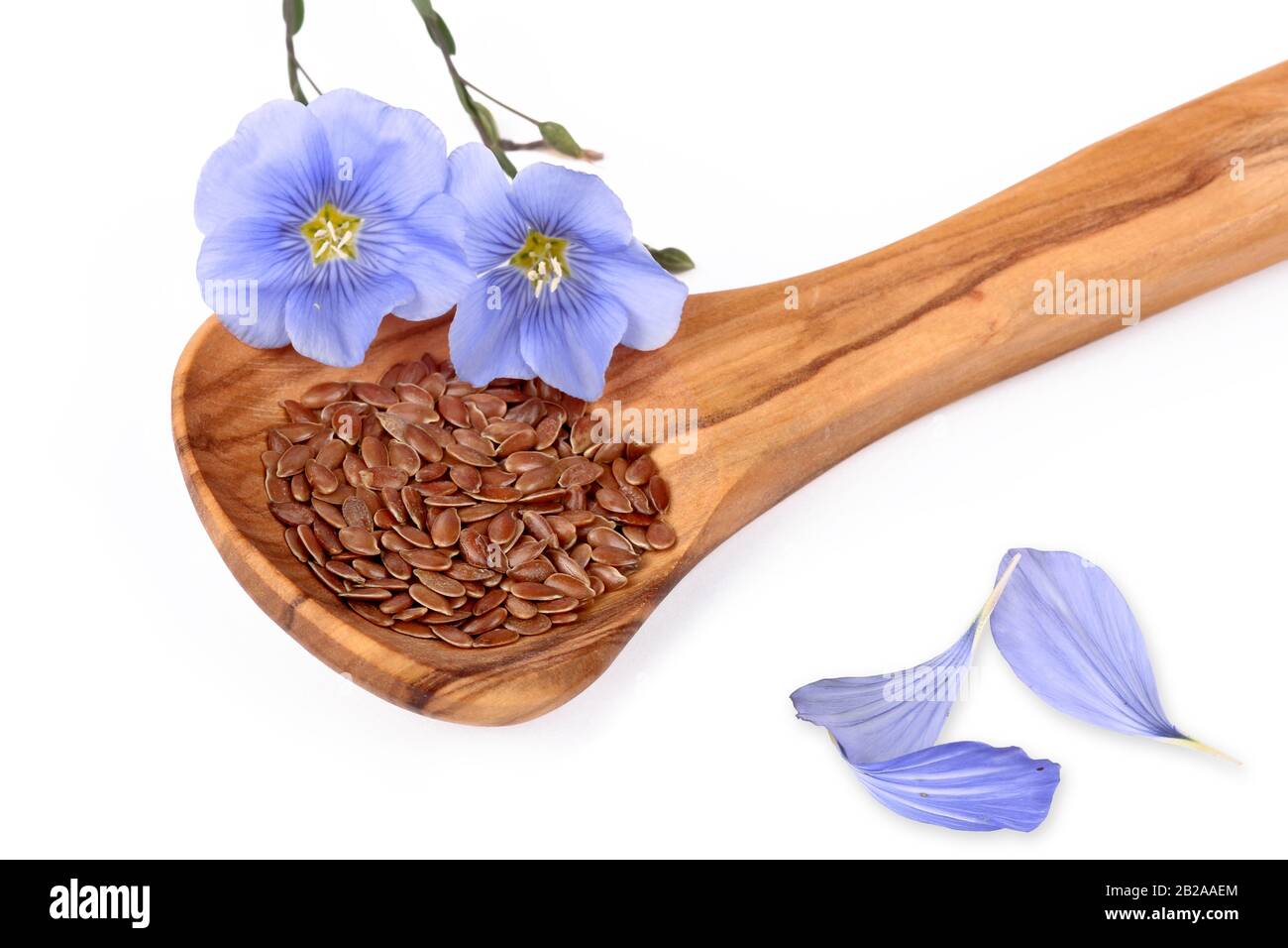 Flaxseed flower hi-res stock photography and images - Alamy