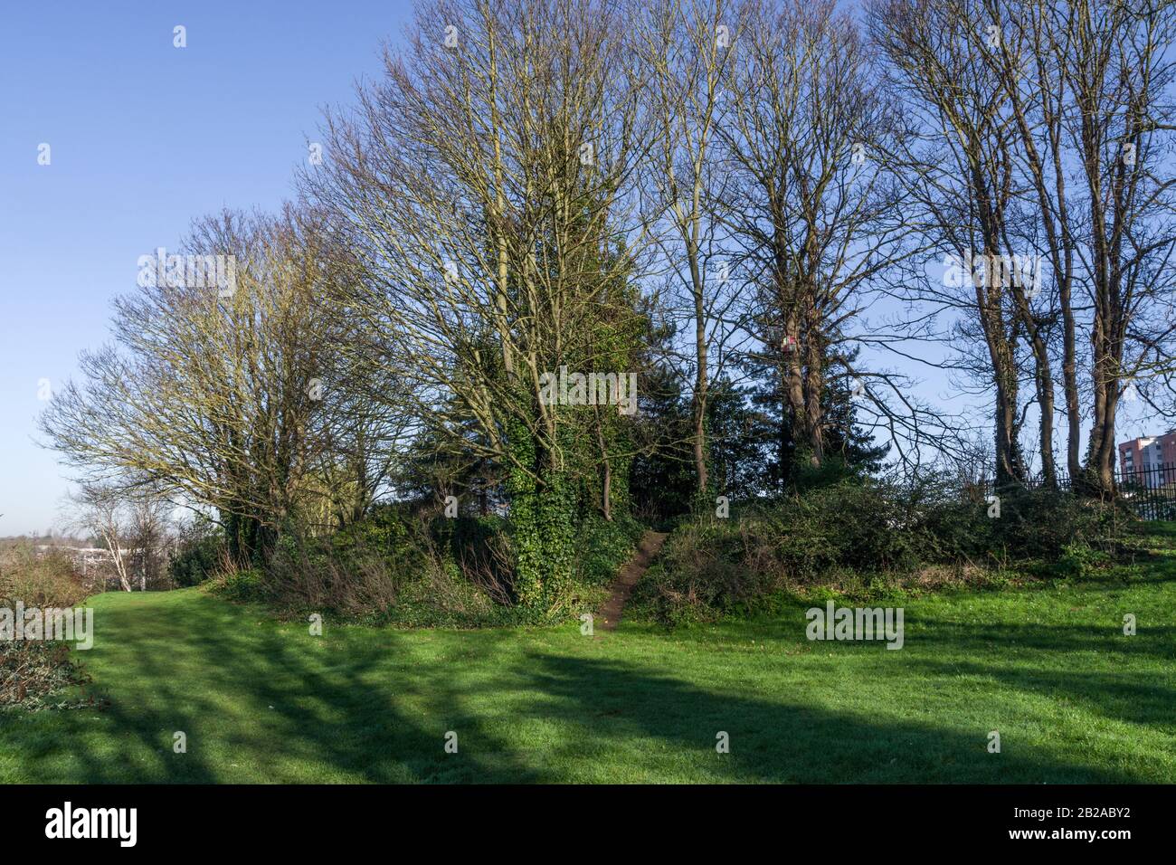 A tree lined mound, all that remains of a famous medieval castle ...