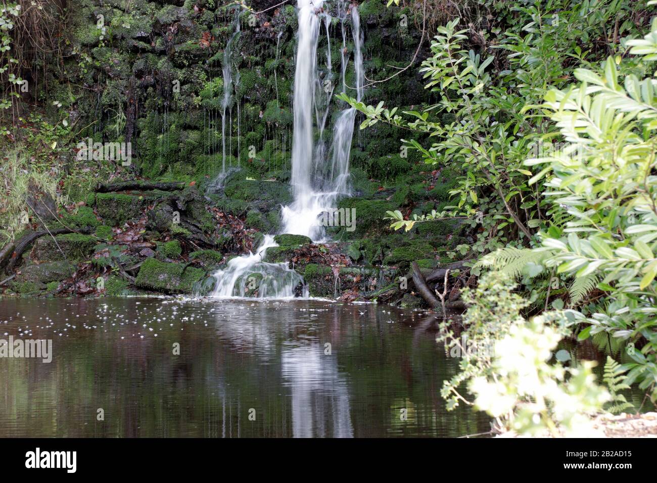 Leith hill place wood hi-res stock photography and images - Alamy
