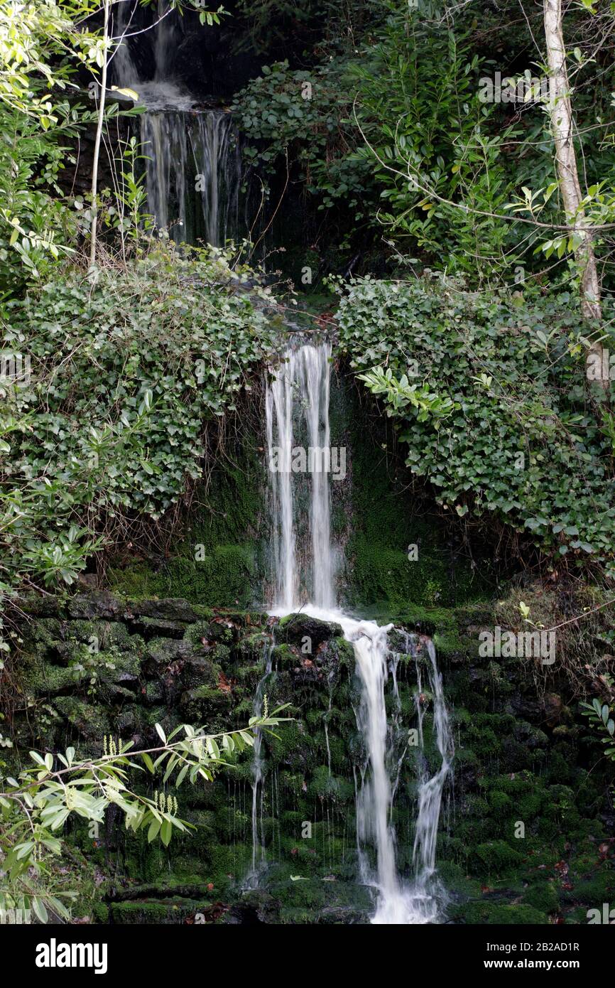 Tillingbourne, Surrey High Resolution Stock Photography and Images - Alamy