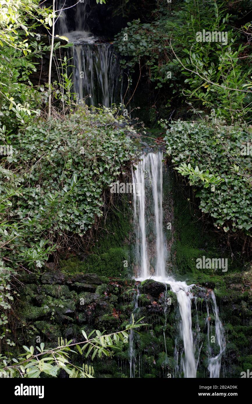 Tillingbourne Waterfall ( Secret Places Stock Photo - Alamy