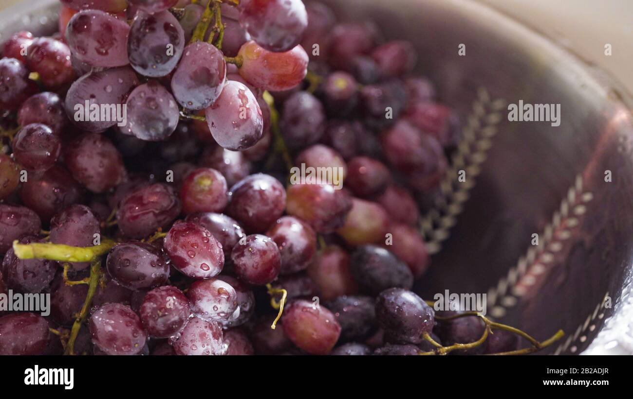 Washing red seedless grapes in stainless steel colander Stock Photo - Alamy