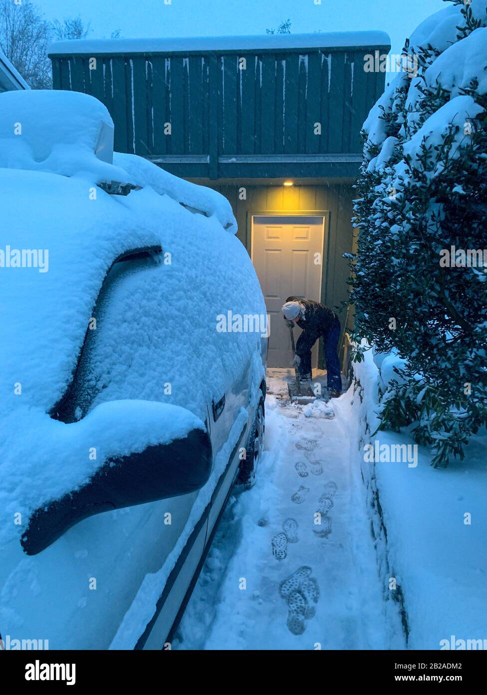 Looking from clearing hi-res stock photography and images - Alamy