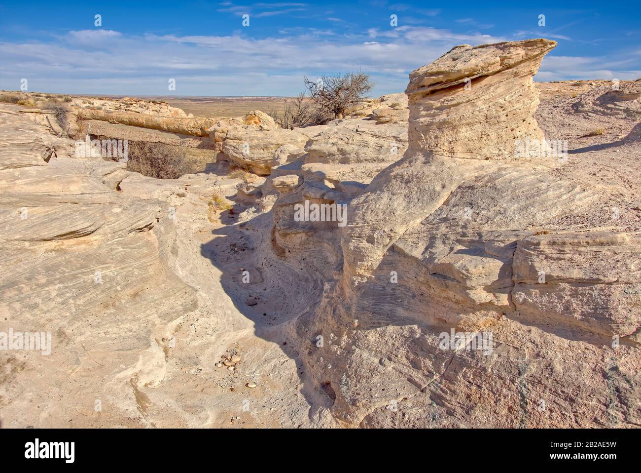 Agate bridge, Petrified Forest National Park, Arizona, USA Stock Photo ...