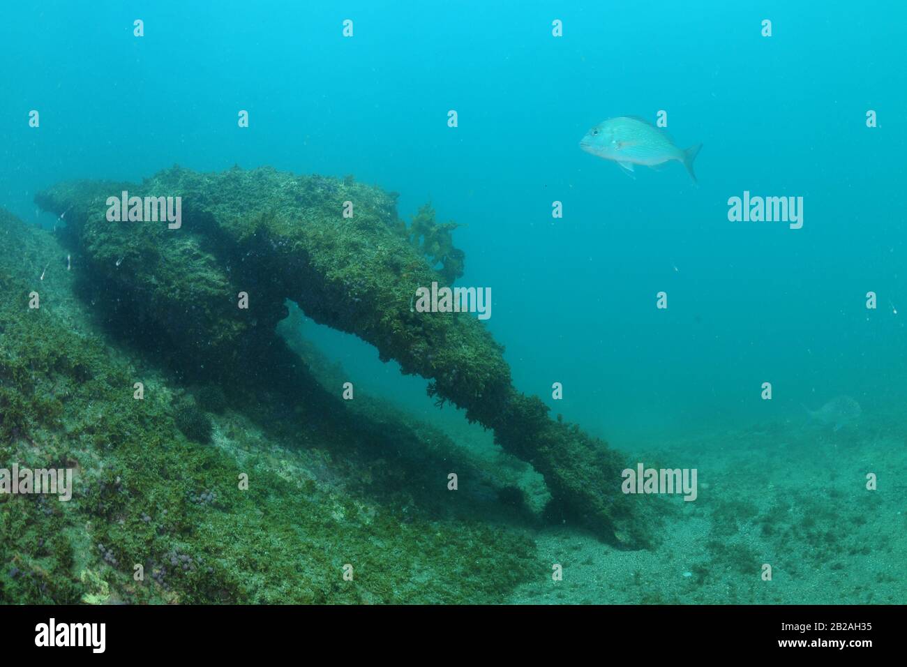 Underwater shape hi-res stock photography and images - Alamy