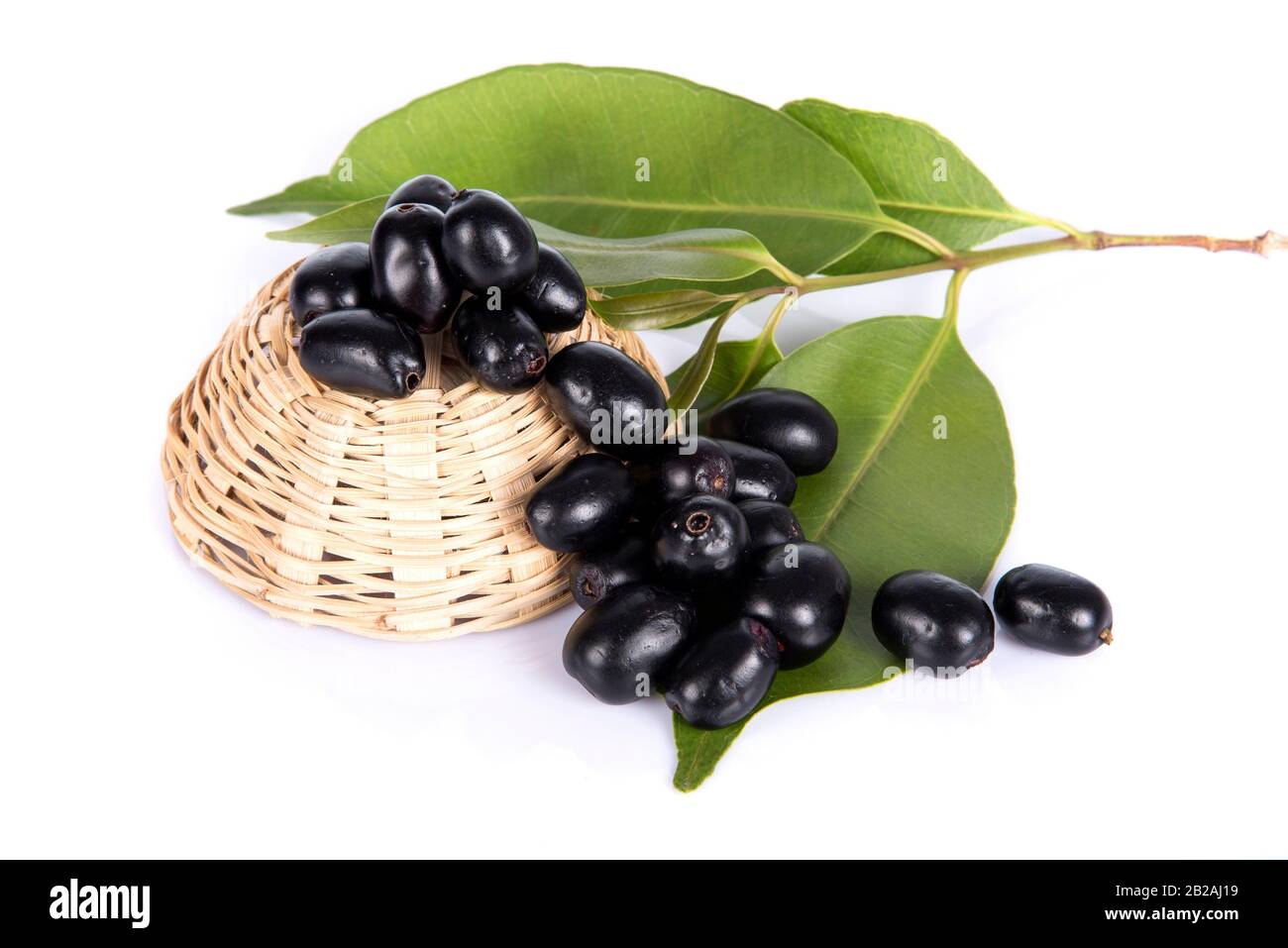 Jamun fruit tree hi-res stock photography and images - Alamy