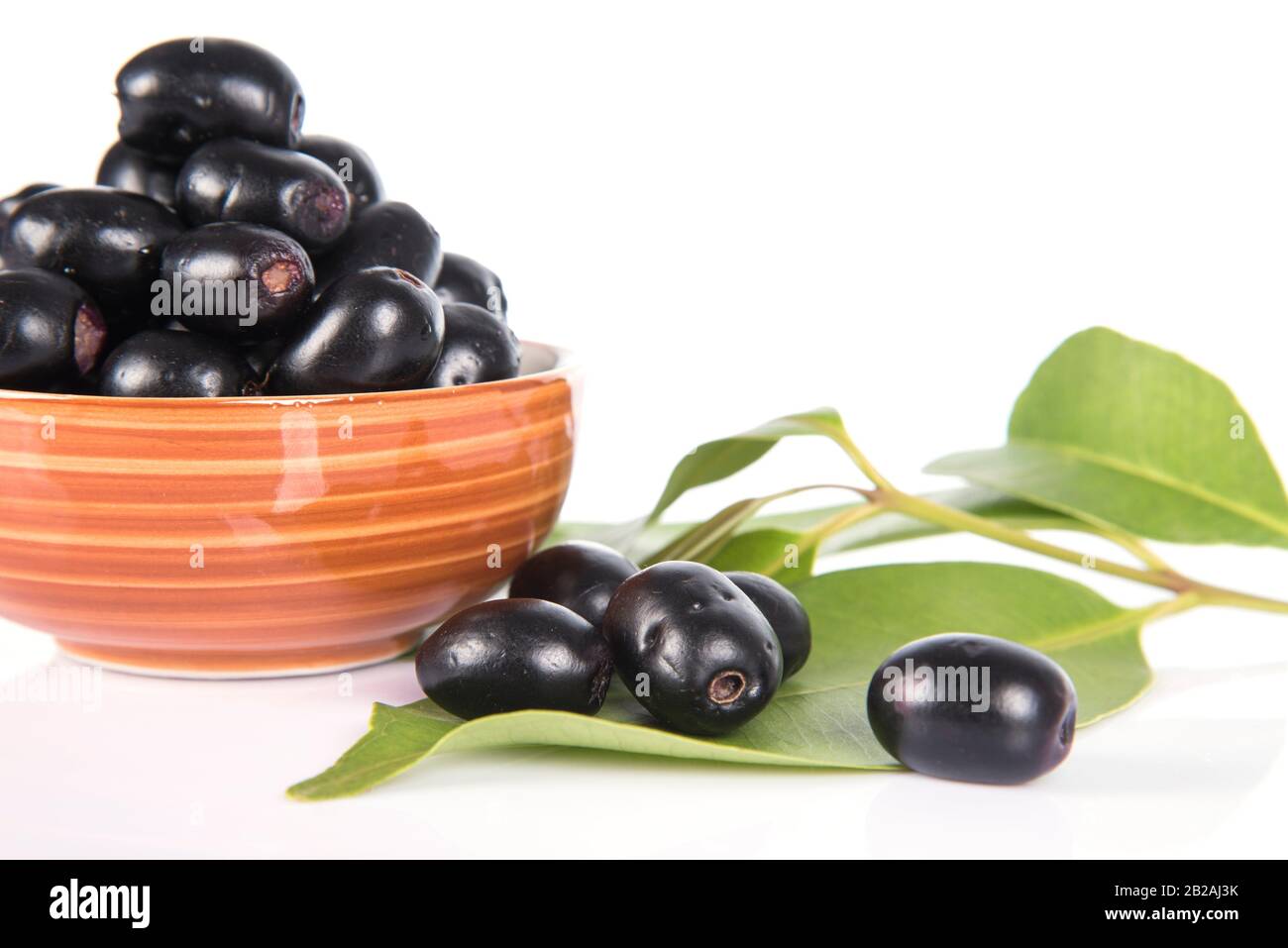Jamun fruit tree hi-res stock photography and images - Alamy