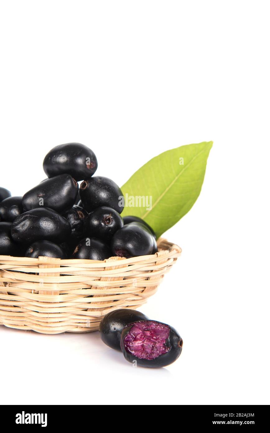 Indian plum tree hi-res stock photography and images - Alamy