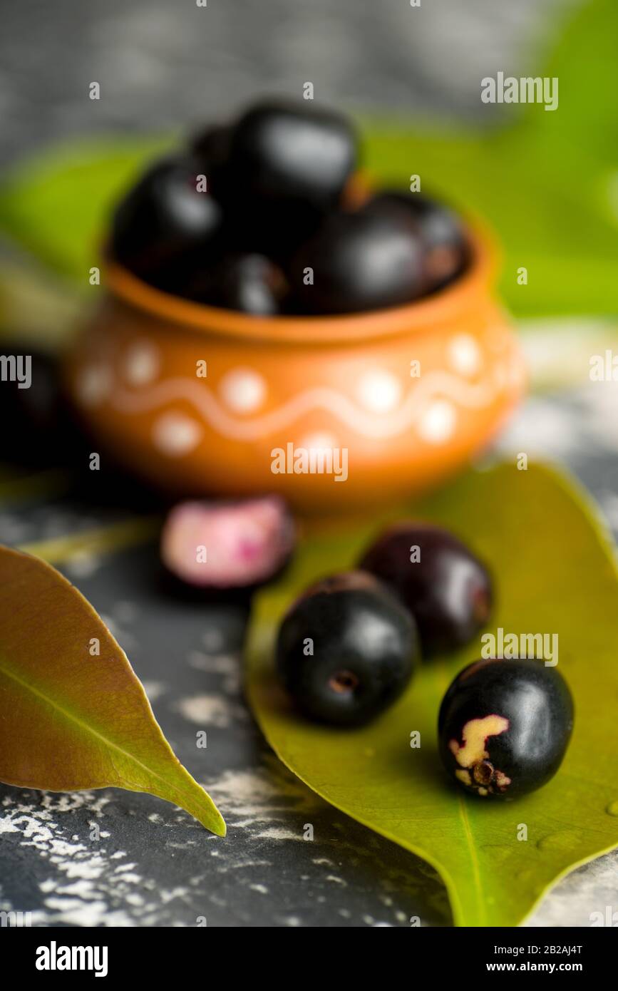 Jamun fruit tree hi-res stock photography and images - Alamy