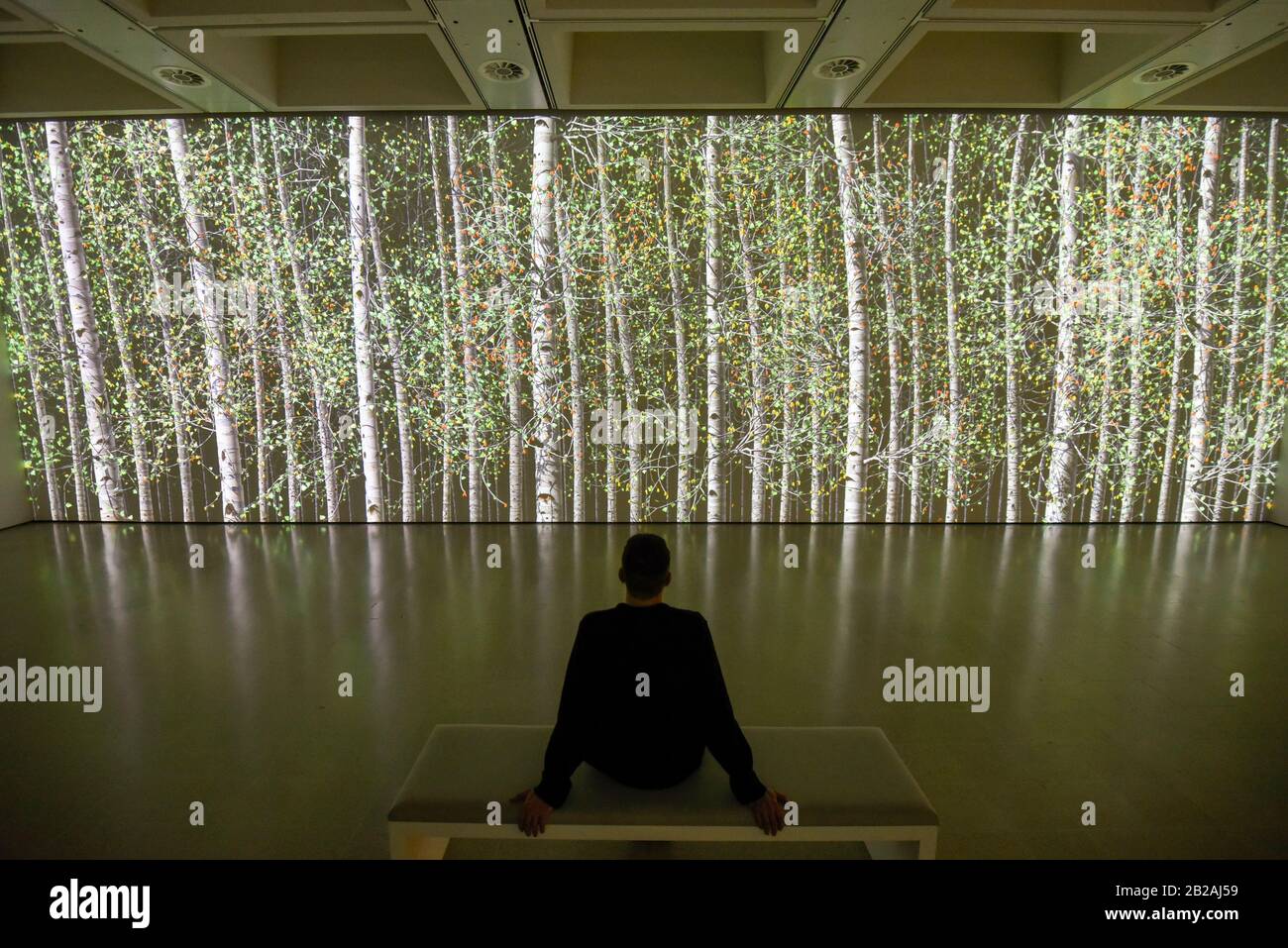 London, UK. 2 March 2020. A staff member views "Blind Eye 1", 2007, by ...