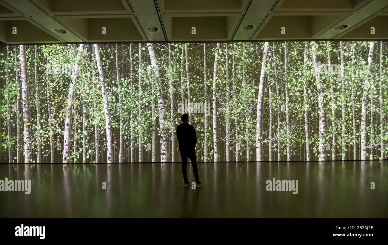 Hayward gallery london tree hi-res stock photography and images - Alamy