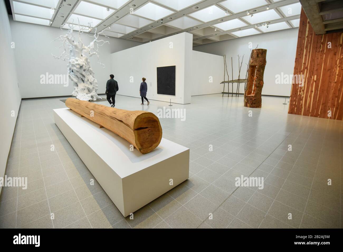 Hayward gallery london tree hi-res stock photography and images - Alamy