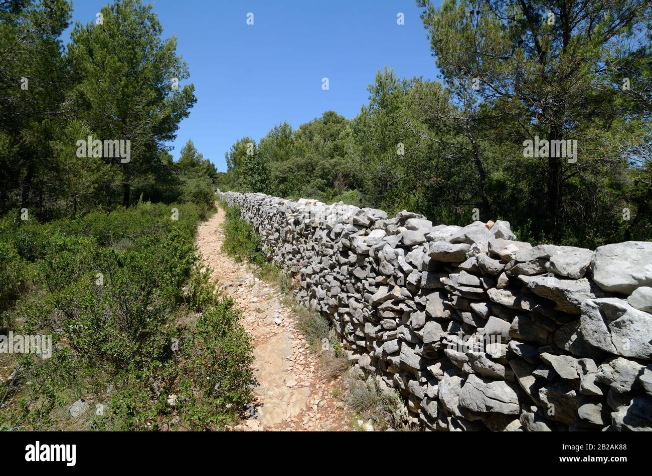 Remains or Reconstruction of c16th Plague Wall built acroos the ...