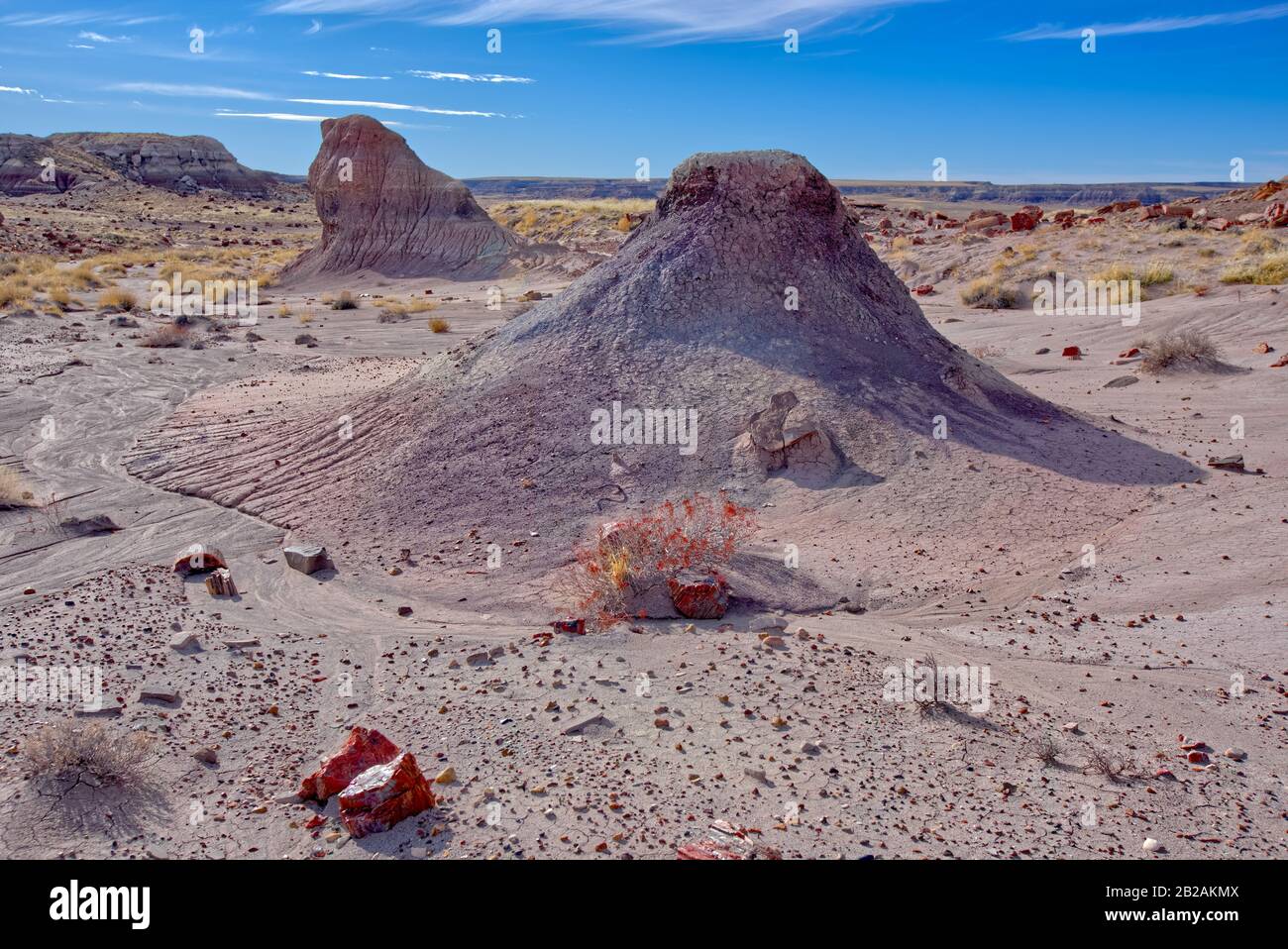 Clay mounds, Jasper Forest, Petrified Forest National Park, Arizona ...