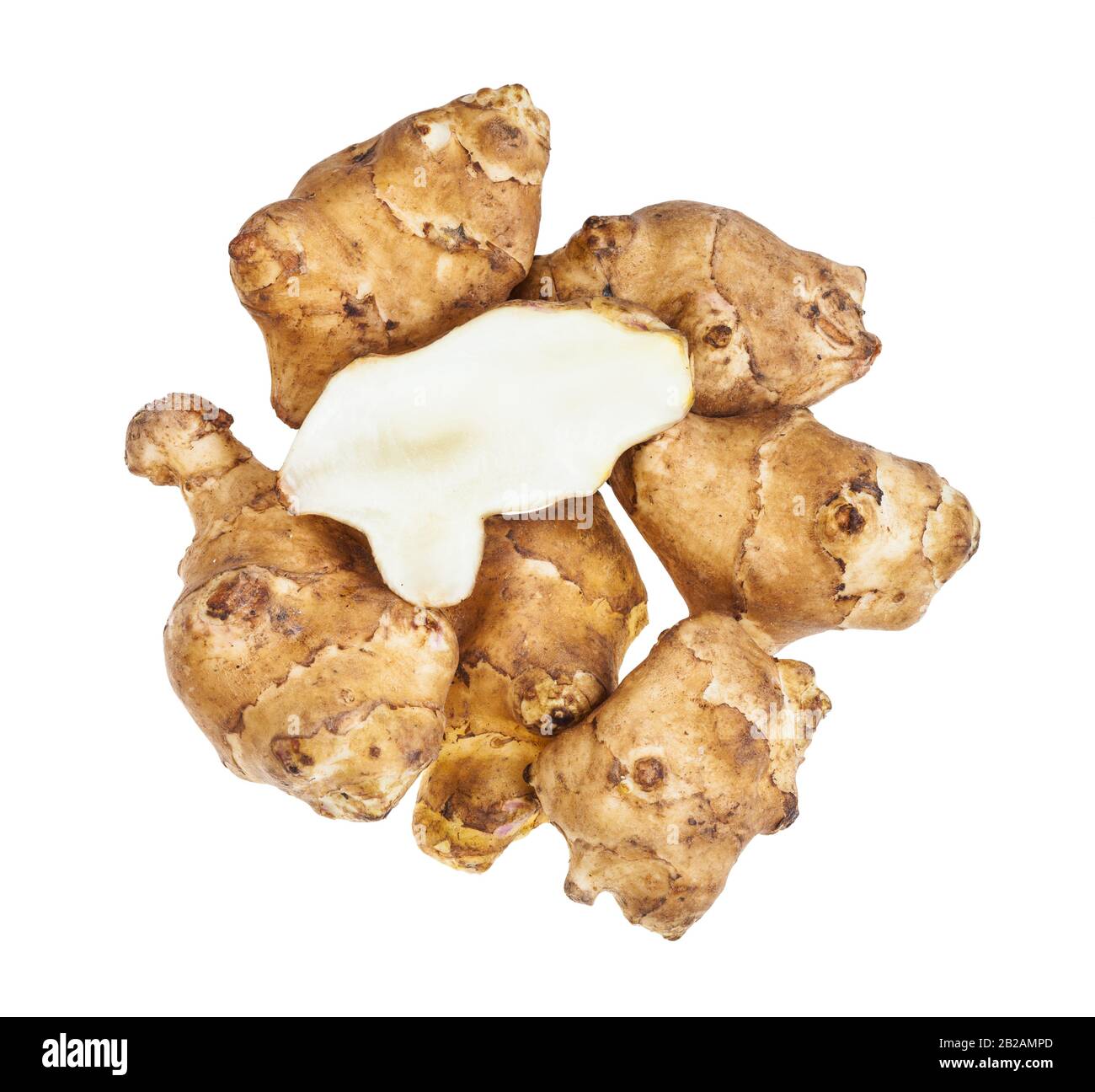 half of tuber on pile of ripe roots jerusalem artichoke (sunroot ...