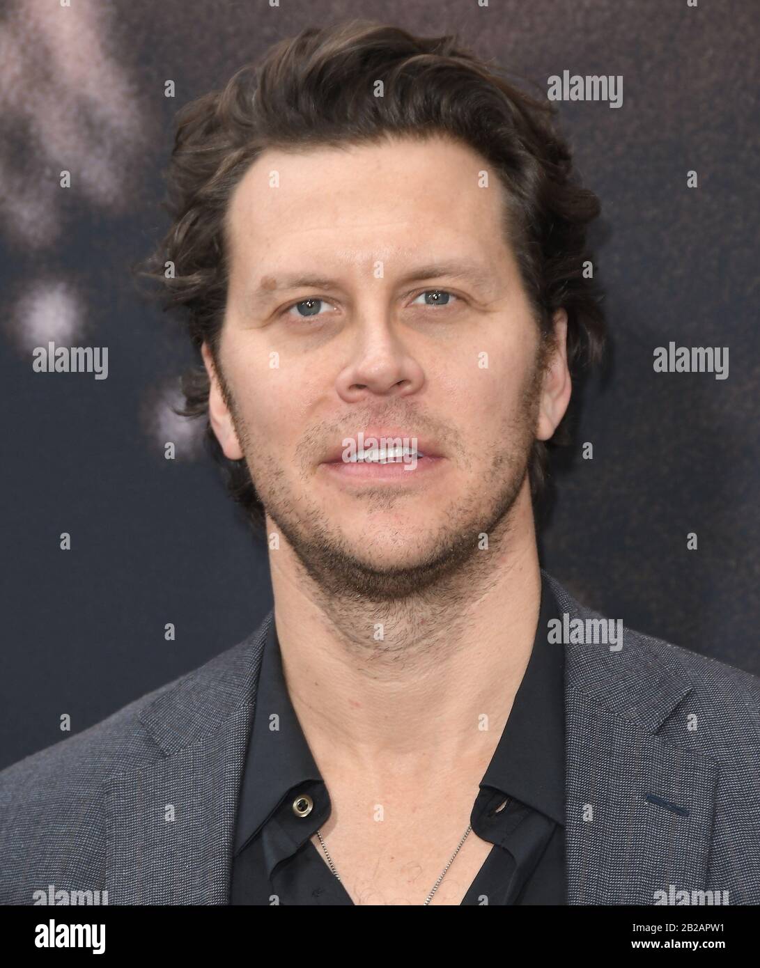 Los Angeles, USA. 01st Mar, 2020. Hayes MacArthur arrives at the Warner ...