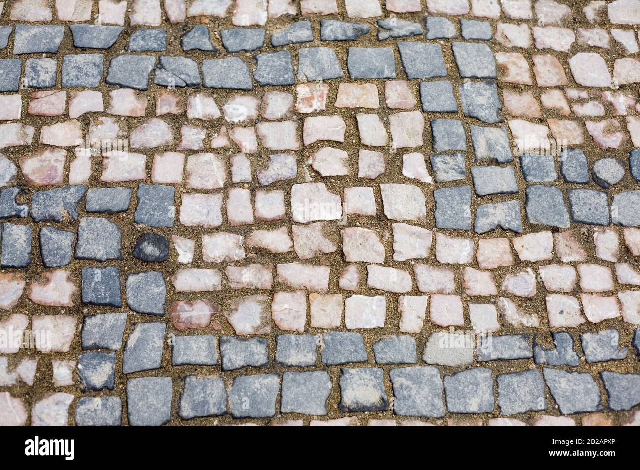 Bumpy foot hi-res stock photography and images - Alamy