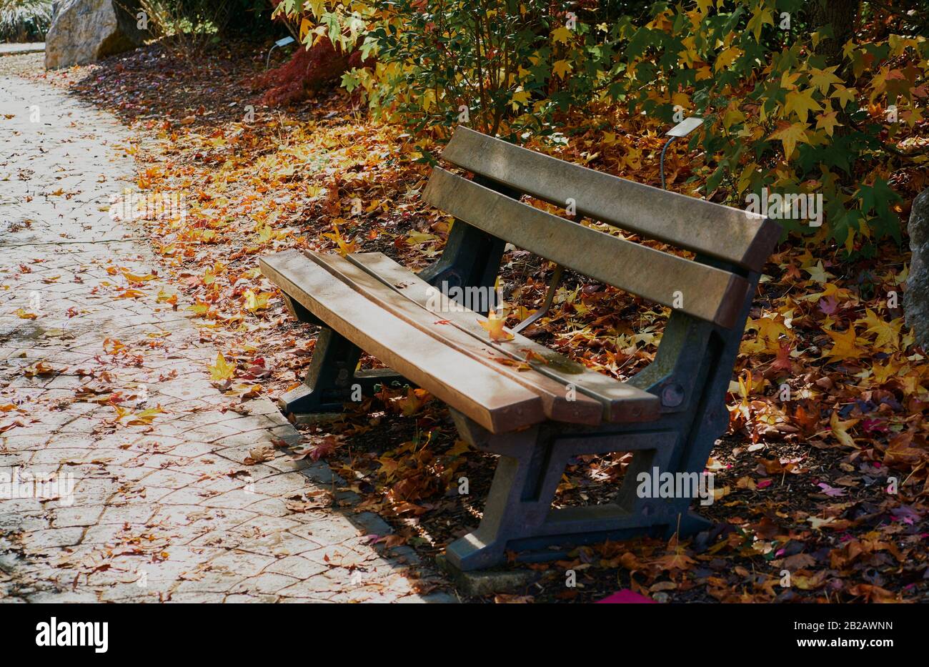 Bench Sunrise Sun Nature Landscape High Resolution Stock Photography ...