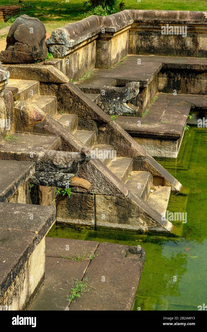 Man bathing in pond hi-res stock photography and images - Alamy