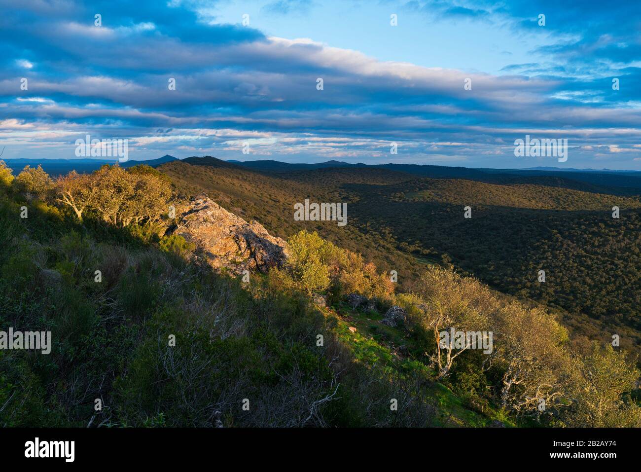 Mediterranean forest hi-res stock photography and images - Alamy