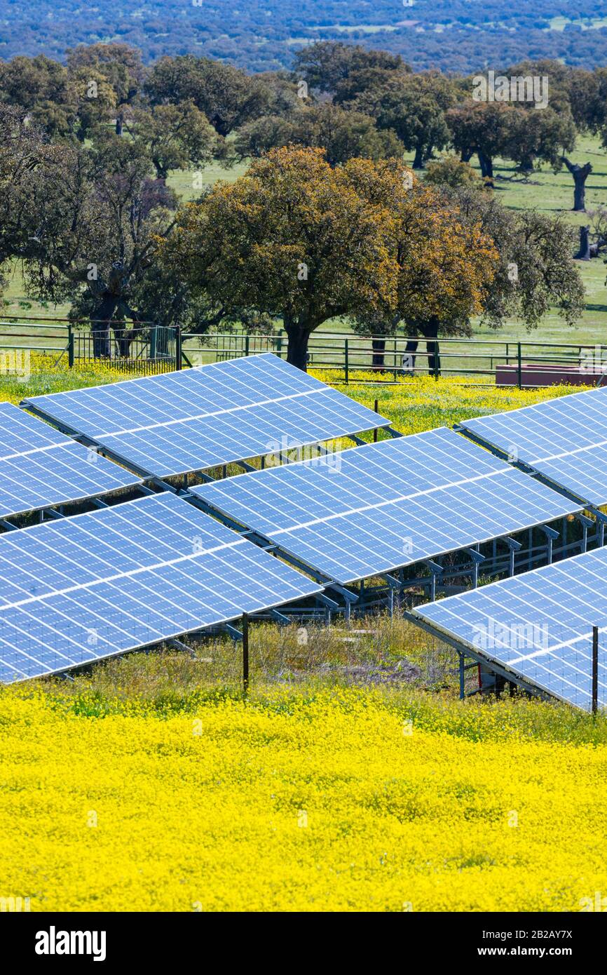 Solar plant solar panels hi-res stock photography and images - Alamy