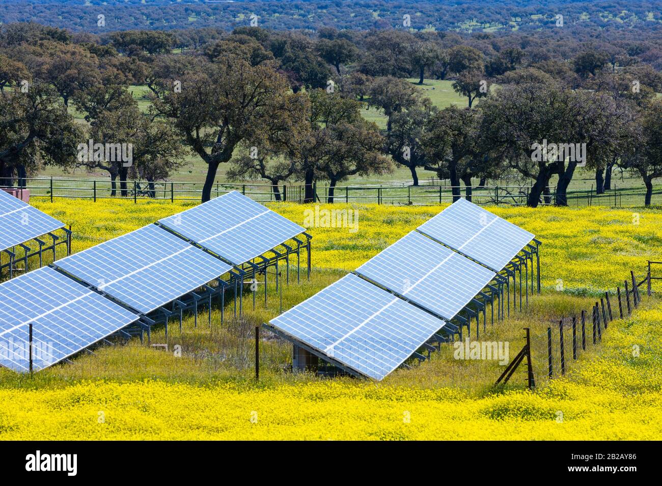 Solar plant solar panels hi-res stock photography and images - Alamy