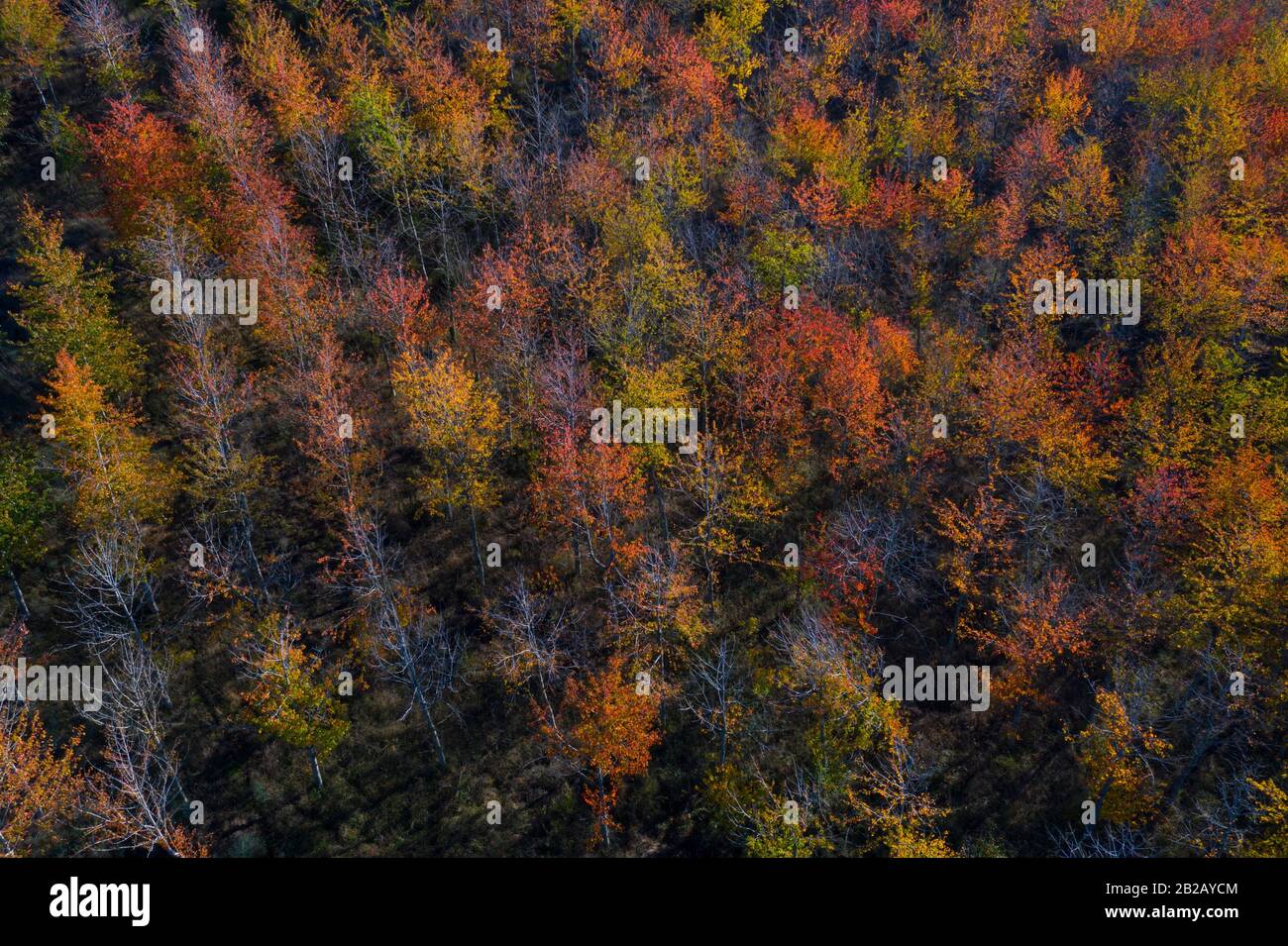 Ciruena hi-res stock photography and images - Alamy