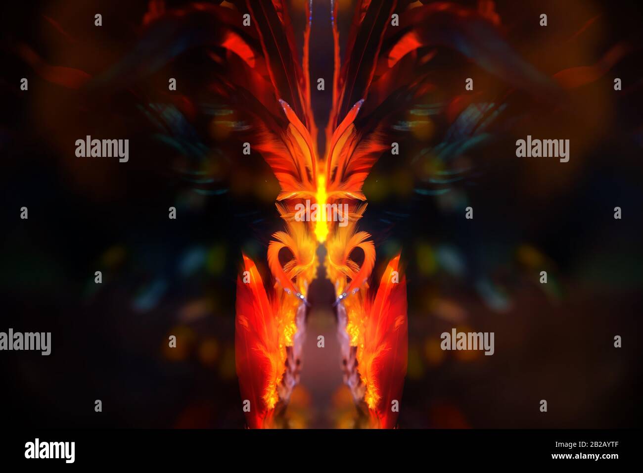 Bird Feathers collage. Photos with graphic effect Stock Photo - Alamy
