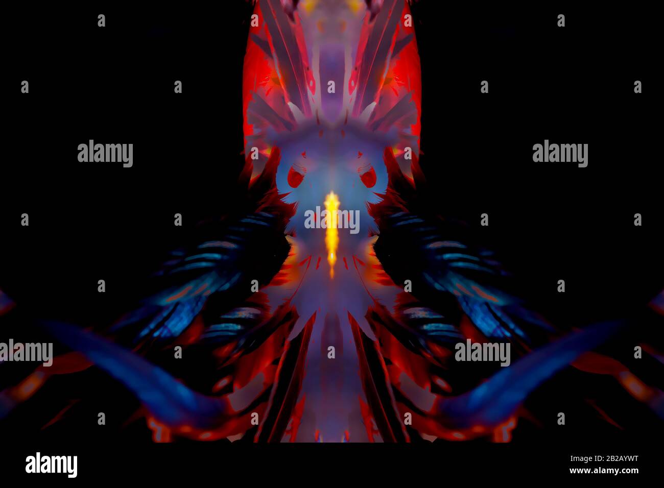 Bird Feathers collage. Photos with graphic effect Stock Photo - Alamy
