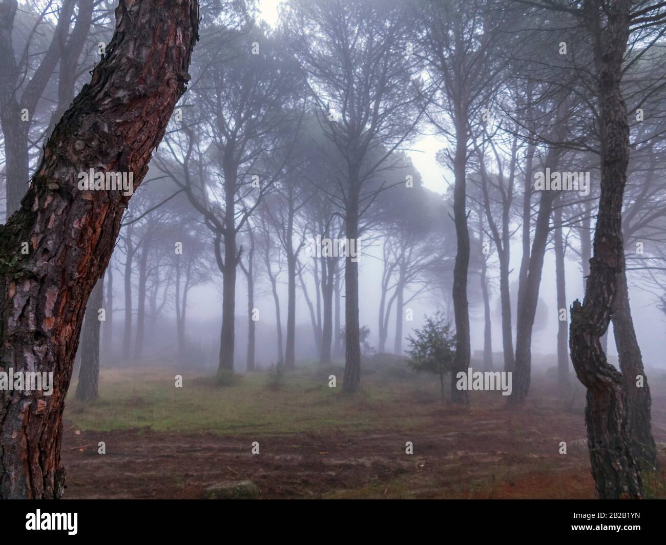 Pinewood station hi-res stock photography and images - Alamy