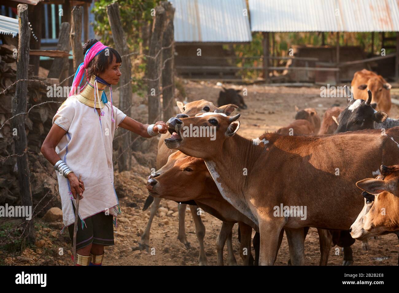 Human cow costume hi-res stock photography and images - Alamy