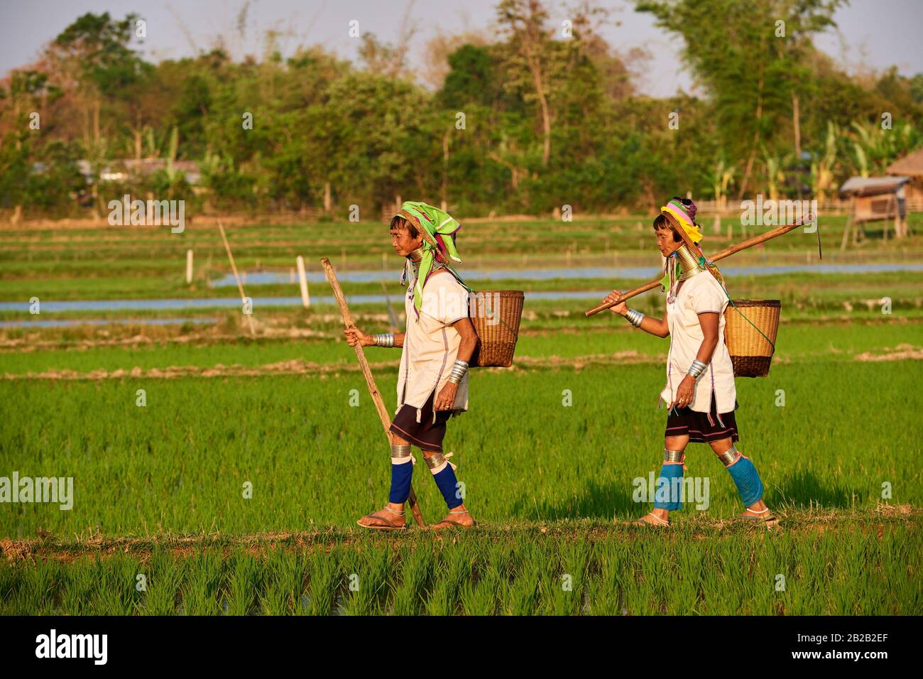 Kayan ethnic minority woman called hi-res stock photography and images ...