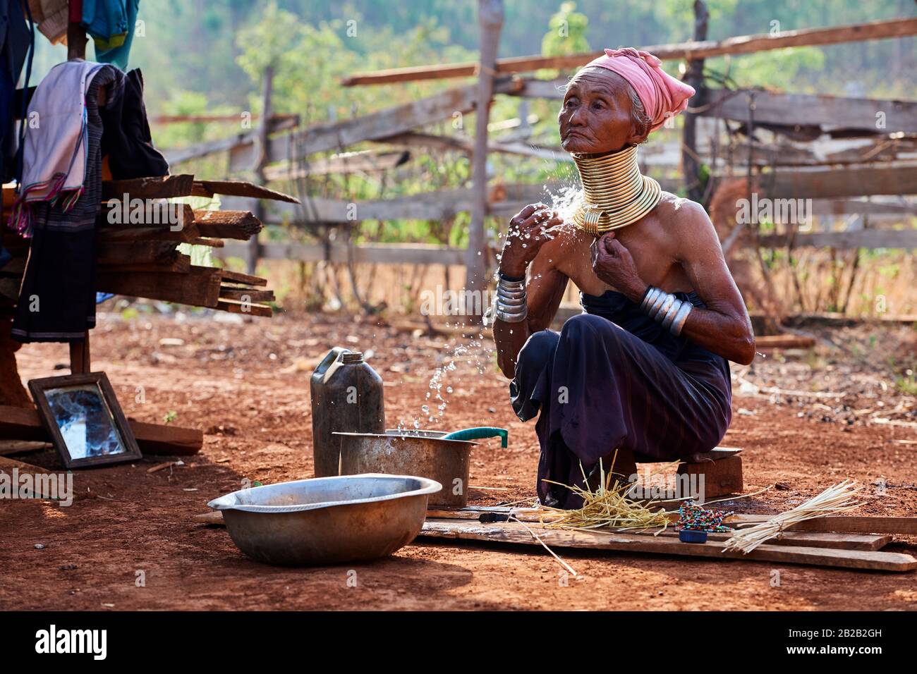 Straw neck hi-res stock photography and images - Alamy